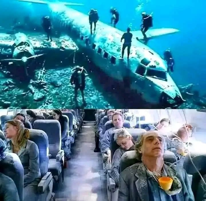 They find missing plane after 40 years with over 92 pa… See more - Amazing